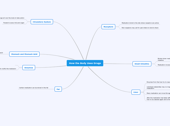 How the Body Uses Drugs - Mind Map